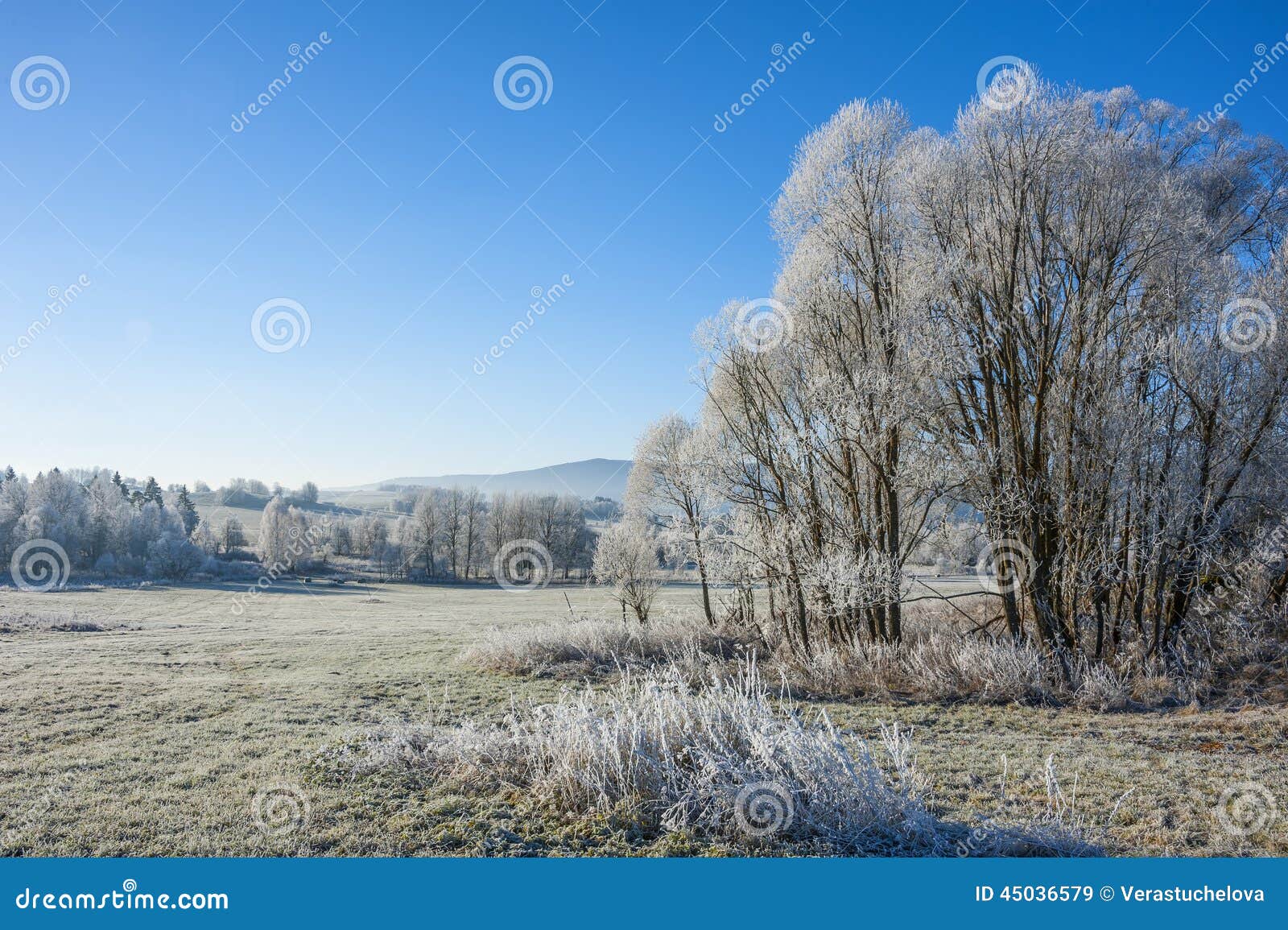 Frozen landscape stock image. Image of lawn, hills, environment - 45036579