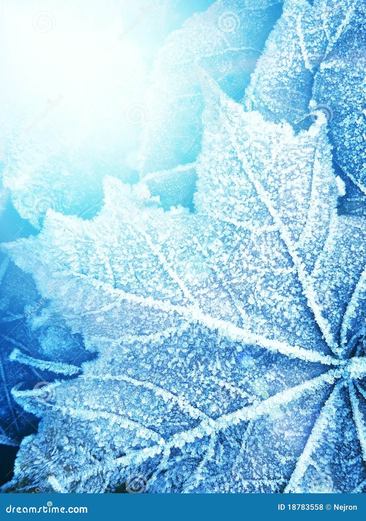 Frozen Leaf On Ground Royalty-Free Stock Photo | CartoonDealer.com #104771253