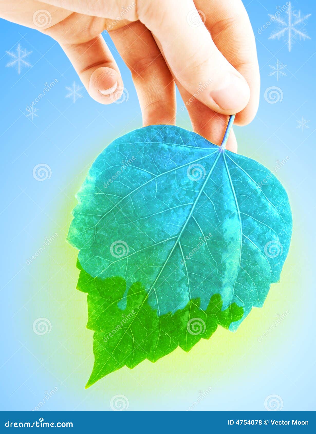 Frozen leave and hand stock photo. Image of floral, background - 4754078