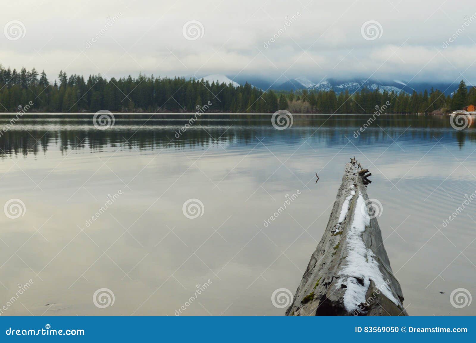 Frozen Log on a Lake stock photo. Image of snow, snowy - 83569050