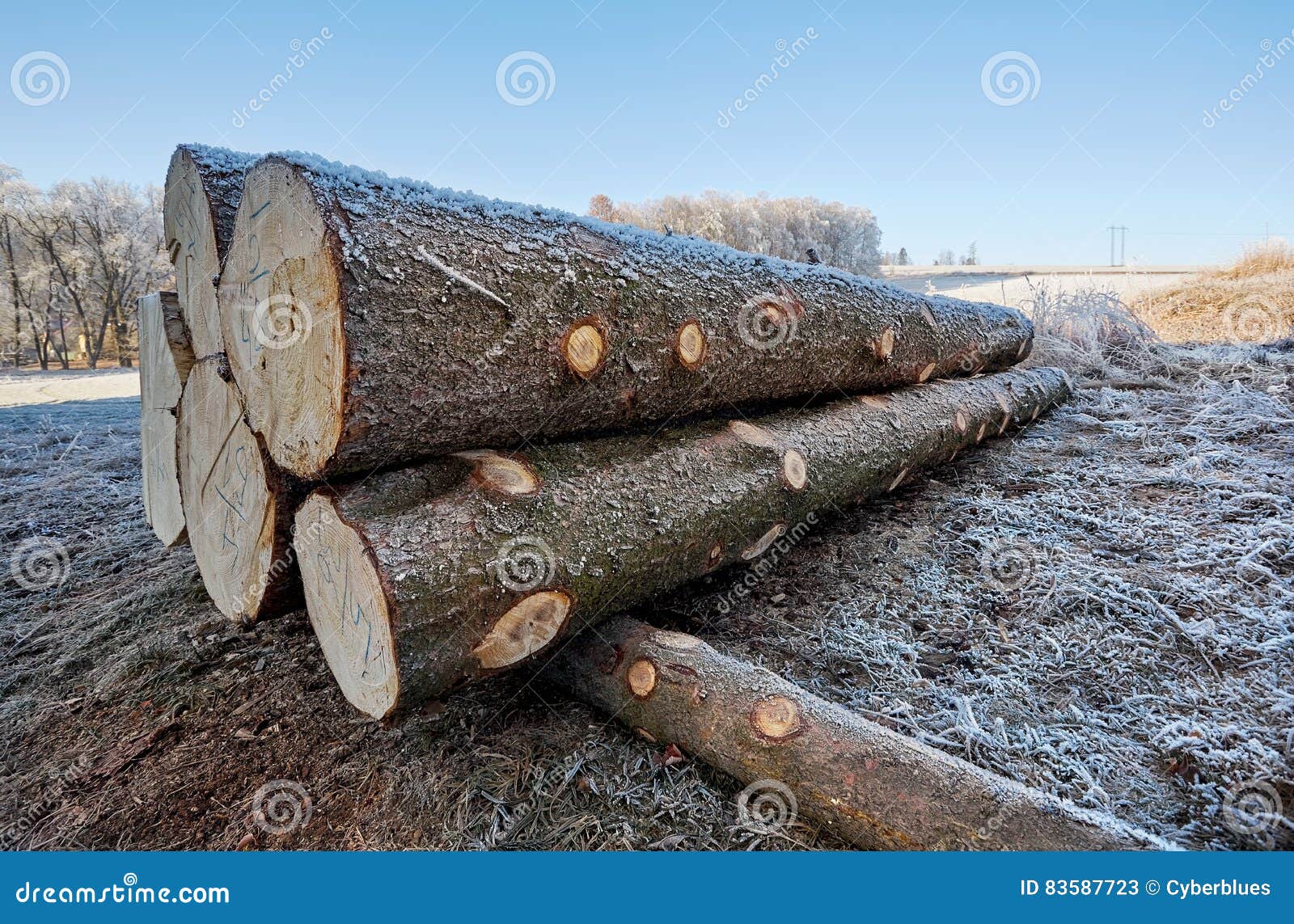 Frozen Logs Laying on Winter Ground Stock Image - Image of lumber ...