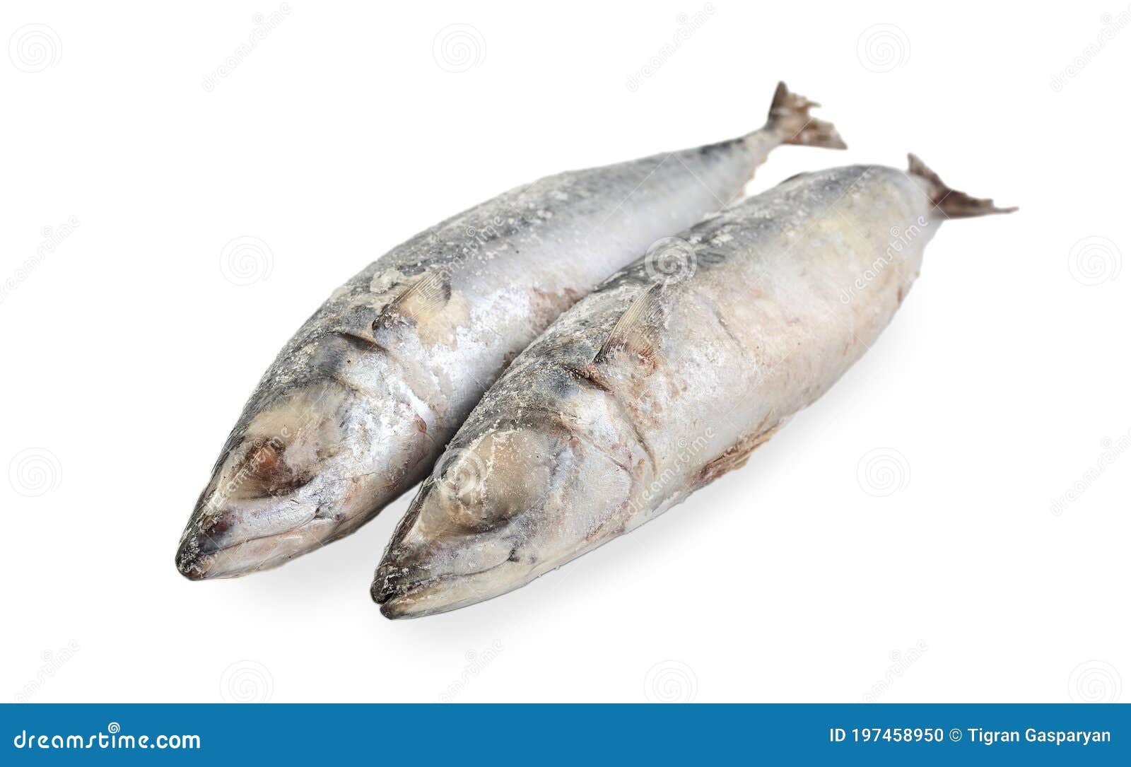 Frozen Mackerel Fish Isolated On White Background. Side View. Two ...