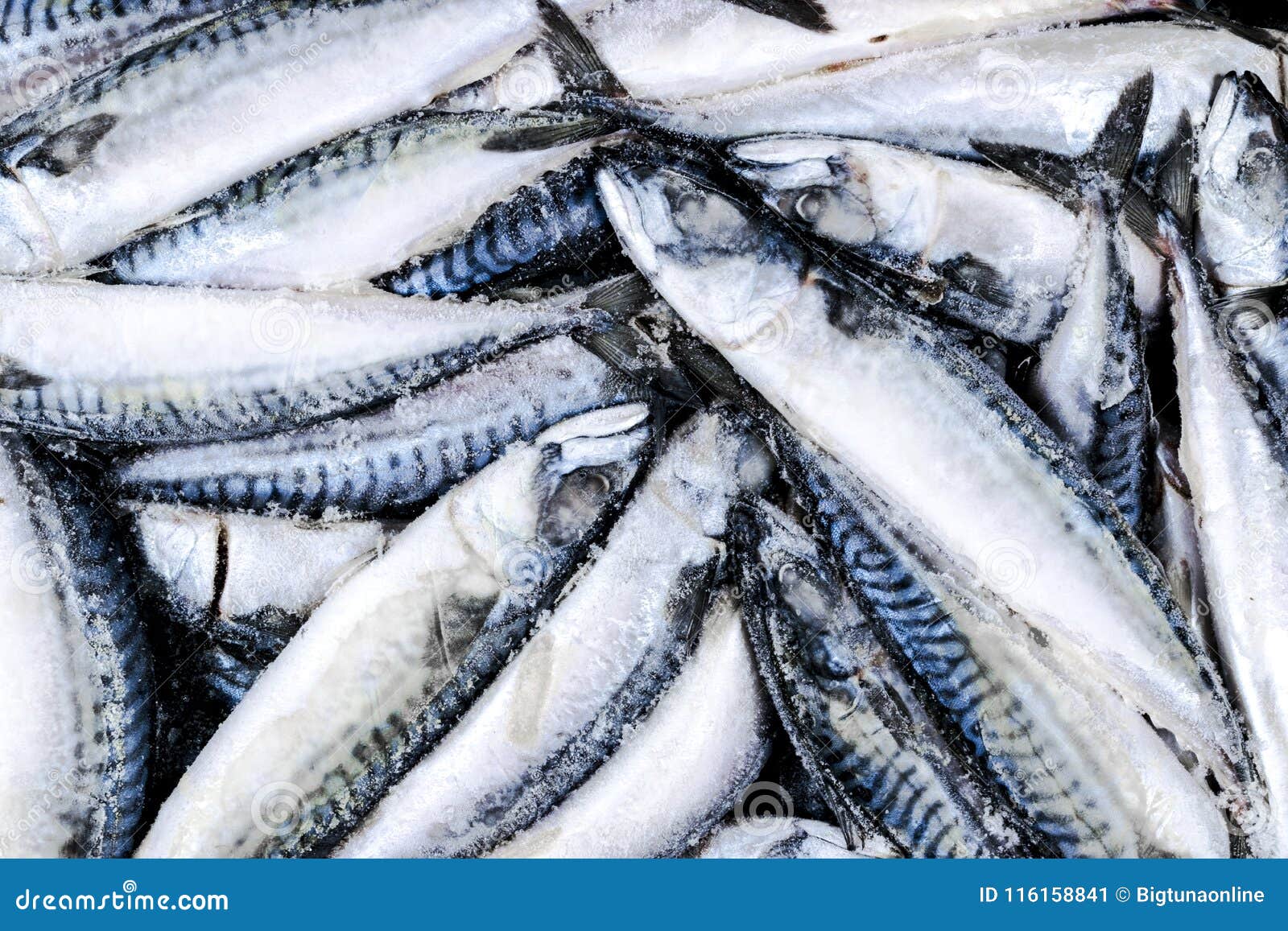 Frozen Mackerel. Frozen Group of Fish. Iced Atlantic Fish. Mackerel ...