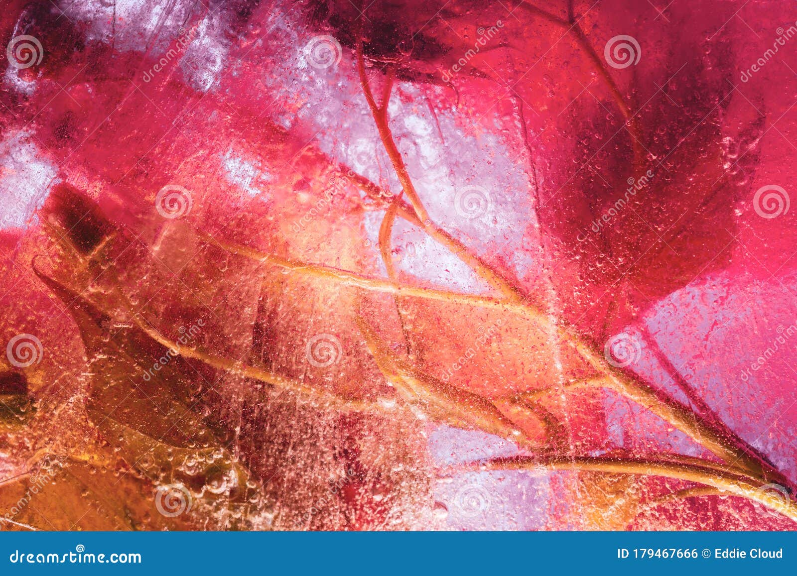 Frozen Maple Leaves Background in Red Tones Stock Illustration ...