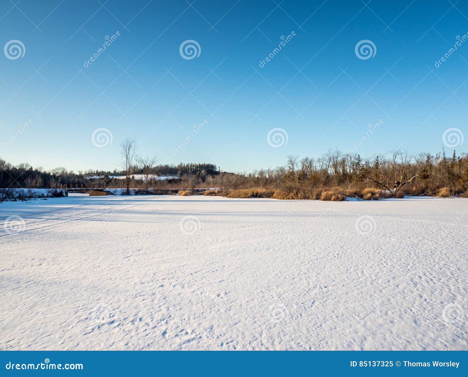 Frozen Marsh Land stock image. Image of sunset, cedar - 85137325
