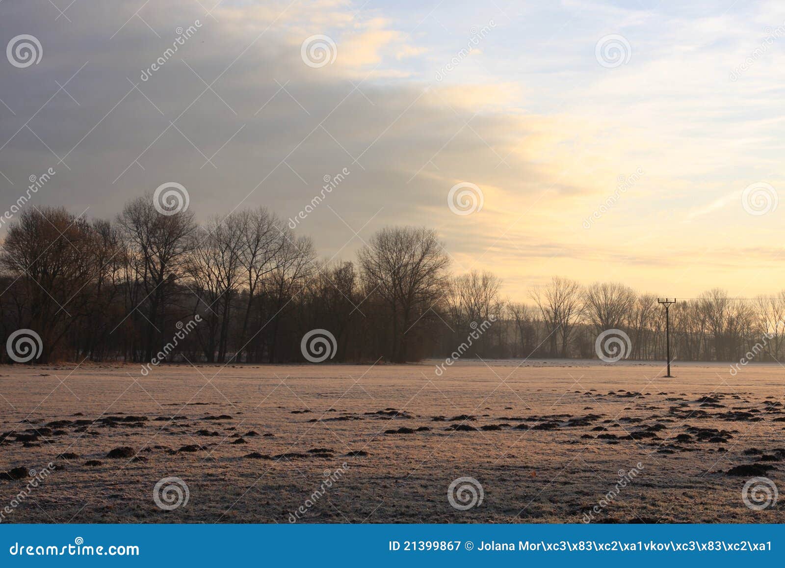 Frozen meadow stock image. Image of meadow, czech, molehill - 21399867