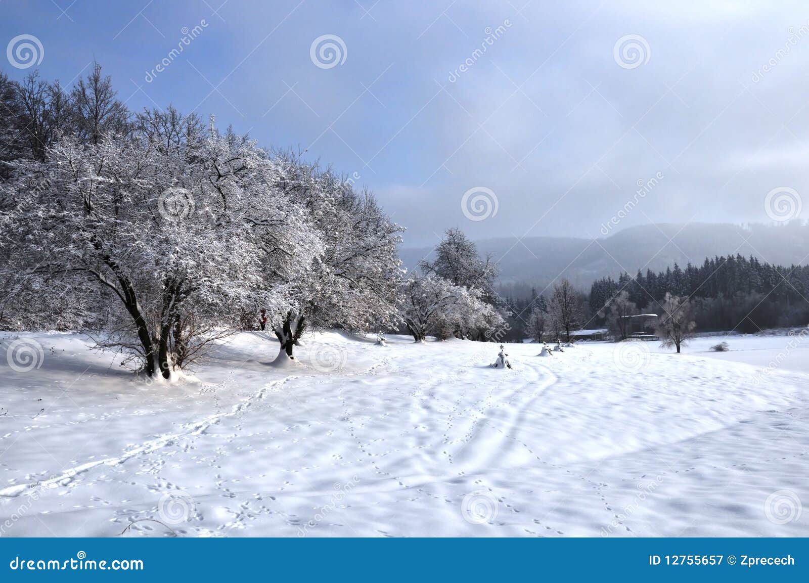 Frozen meadow and field stock image. Image of nature - 12755657