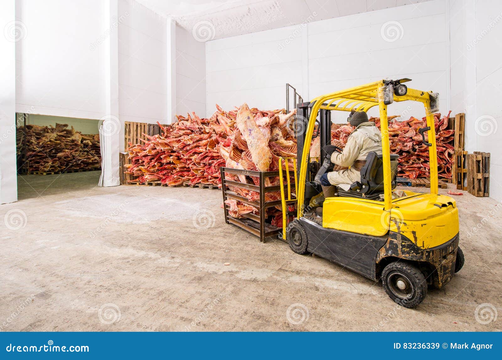 Frozen meat at a storage stock image. Image of pallet - 83236339