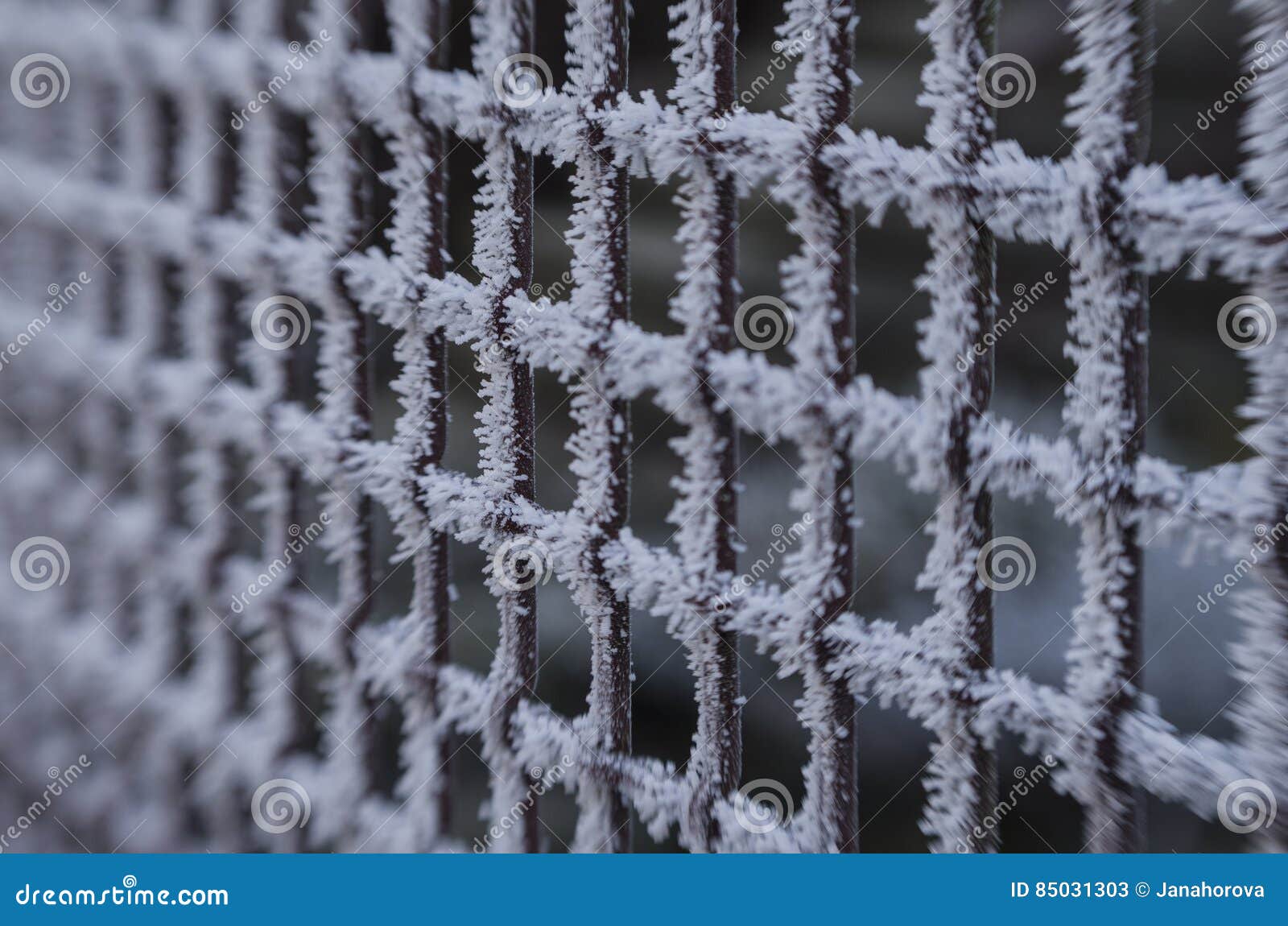 Frozen Metal Fence Texture Royalty-Free Stock Photo | CartoonDealer.com ...