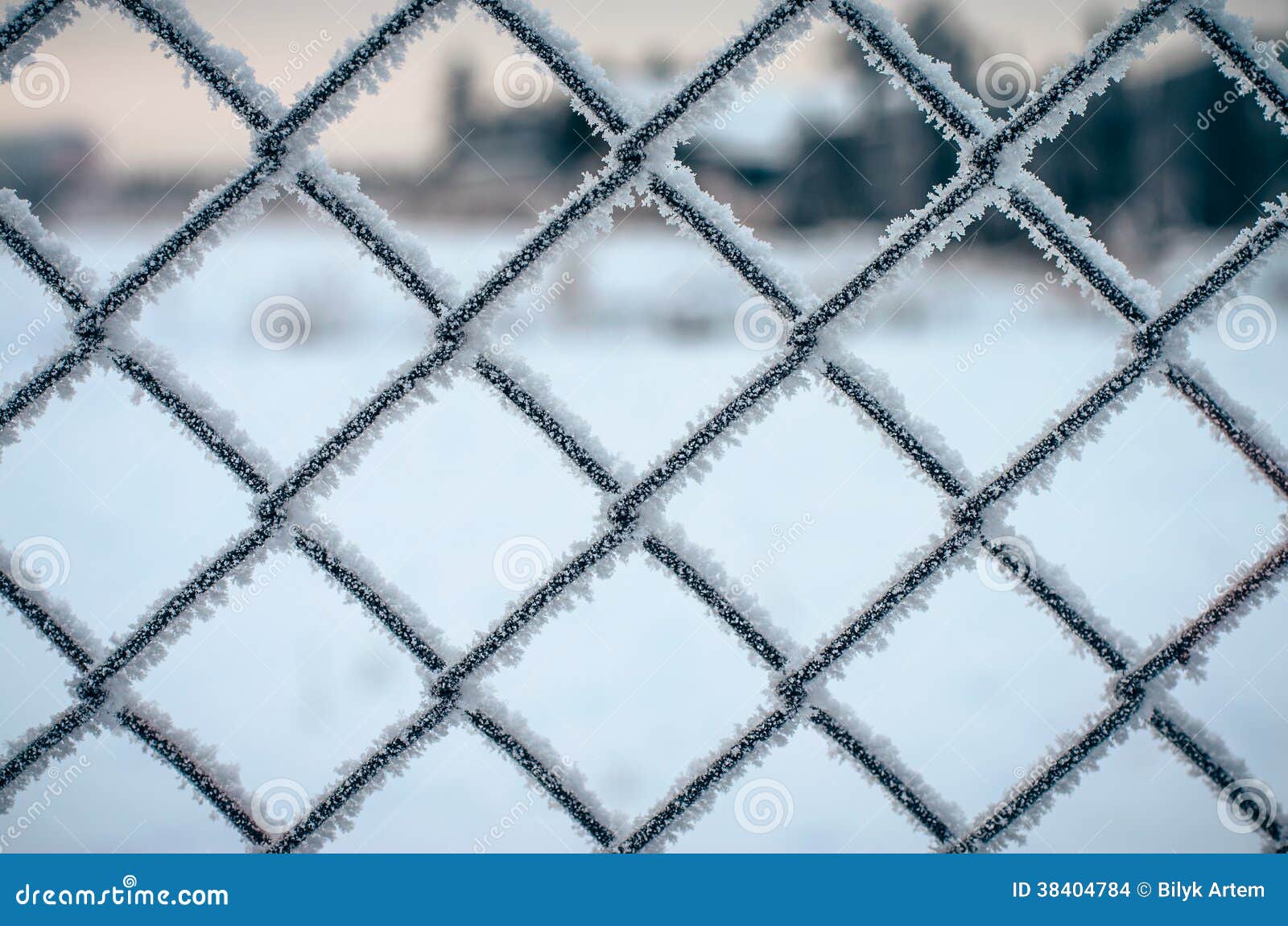 Frozen metal network. stock photo. Image of cool, frost - 38404784