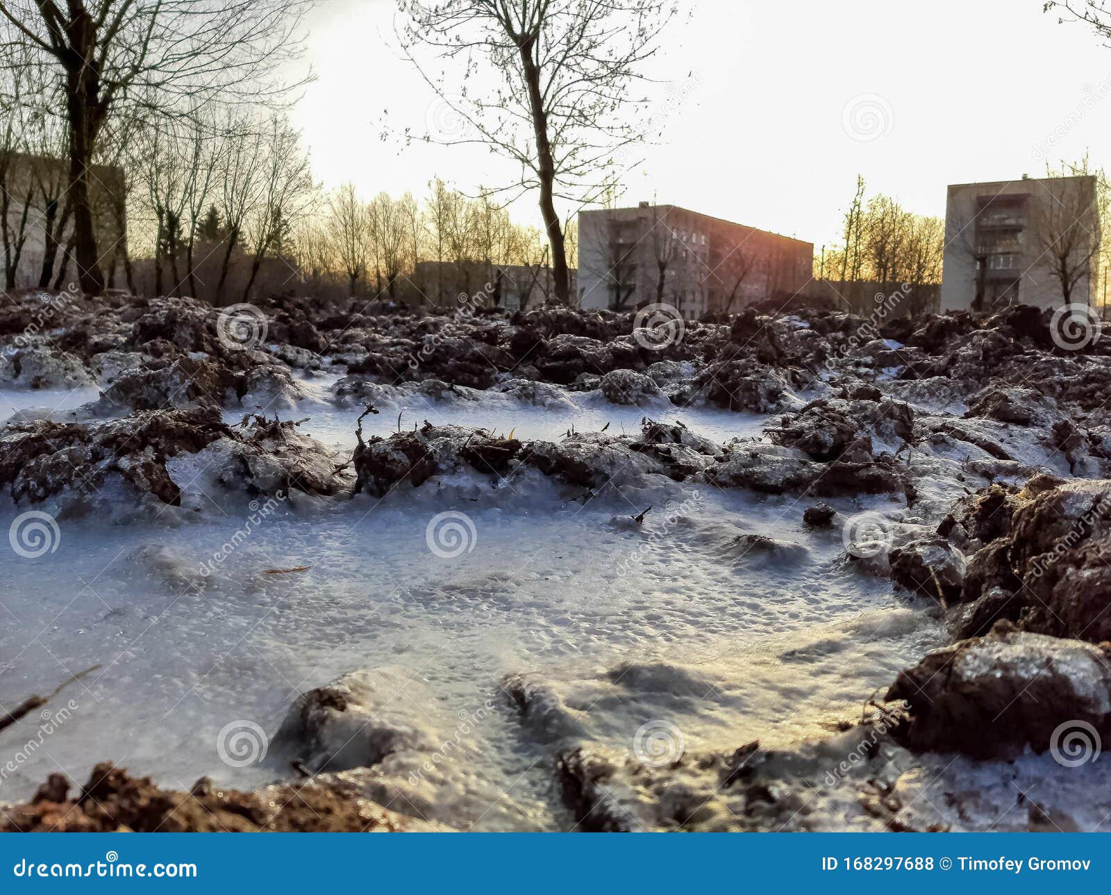 Frozen Mud at the Beginning of Winter in the Daytime Stock Photo ...