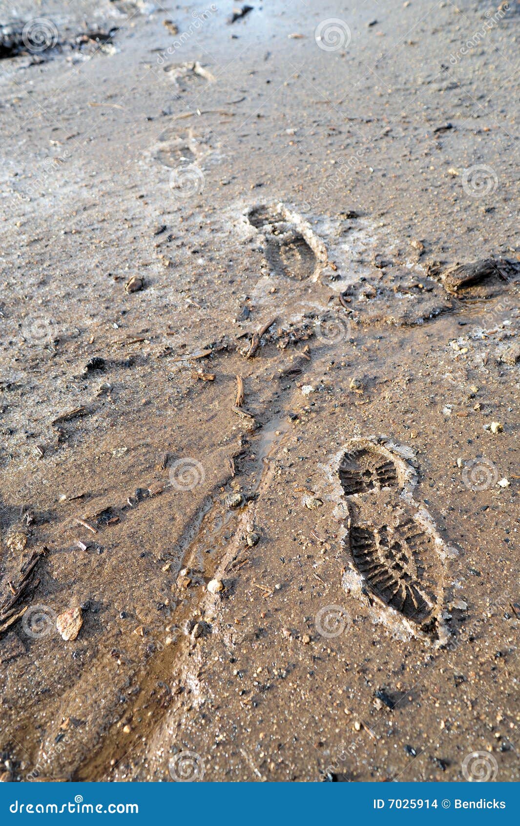 Frozen Mud and Boot Prints stock photo. Image of footprint - 7025914