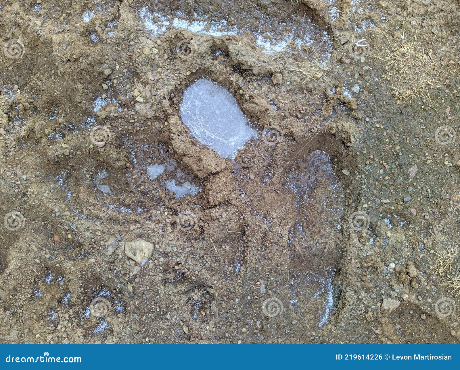 Frozen Mud with Footprints in the Daytime Stock Photo - Image of ...