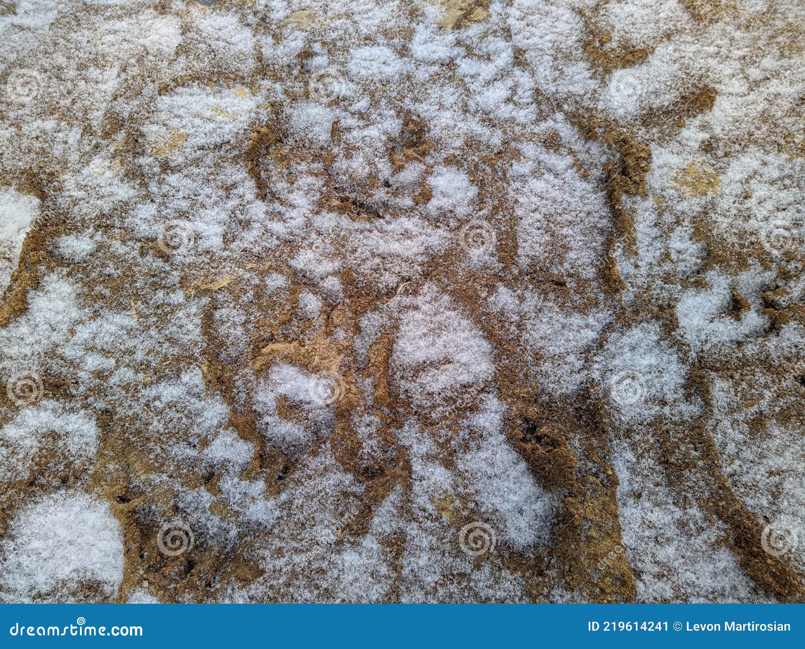 Frozen Mud with Footprints in the Daytime Stock Image - Image of drops ...