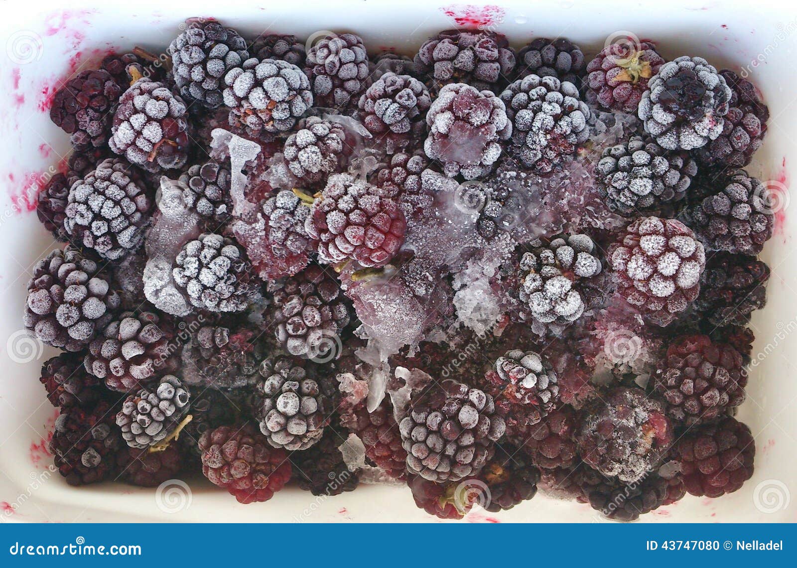 Frozen mulberry stock photo. Image of blue, berries, frozen - 43747080