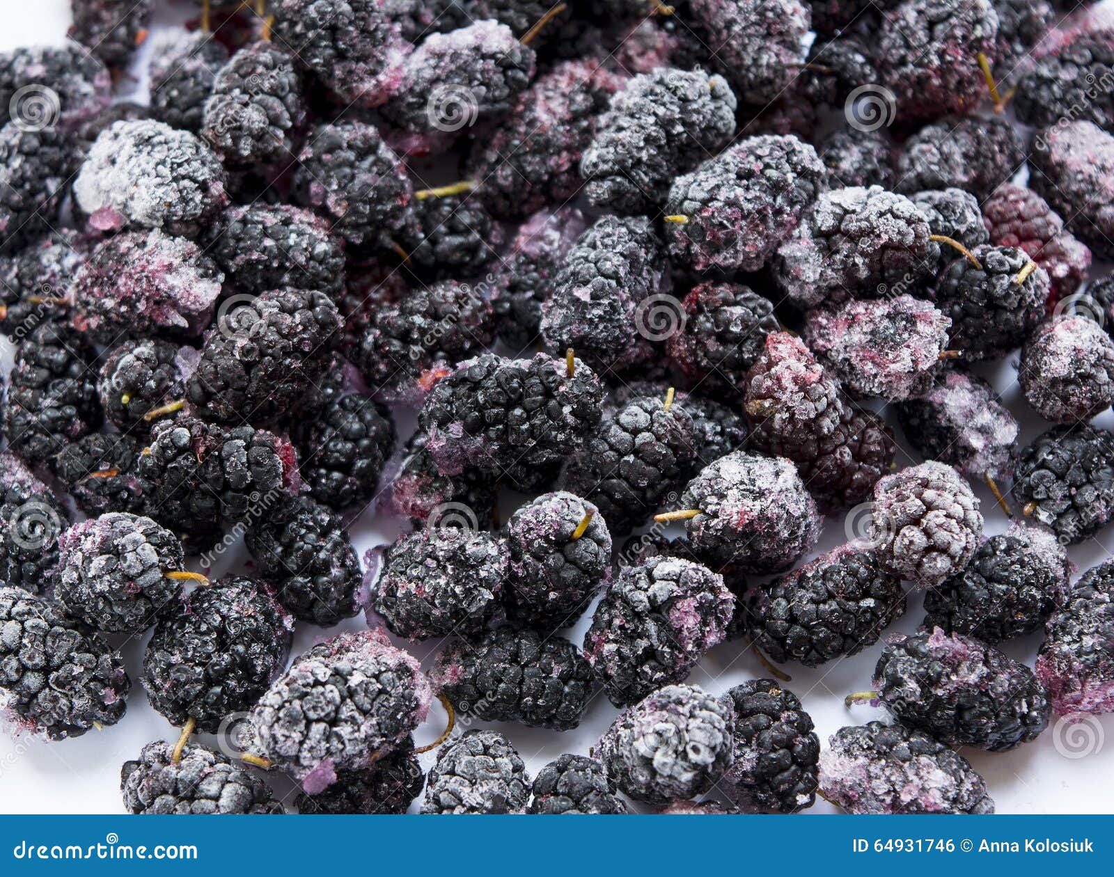 Frozen Mulberry on a White Background Stock Photo - Image of color ...