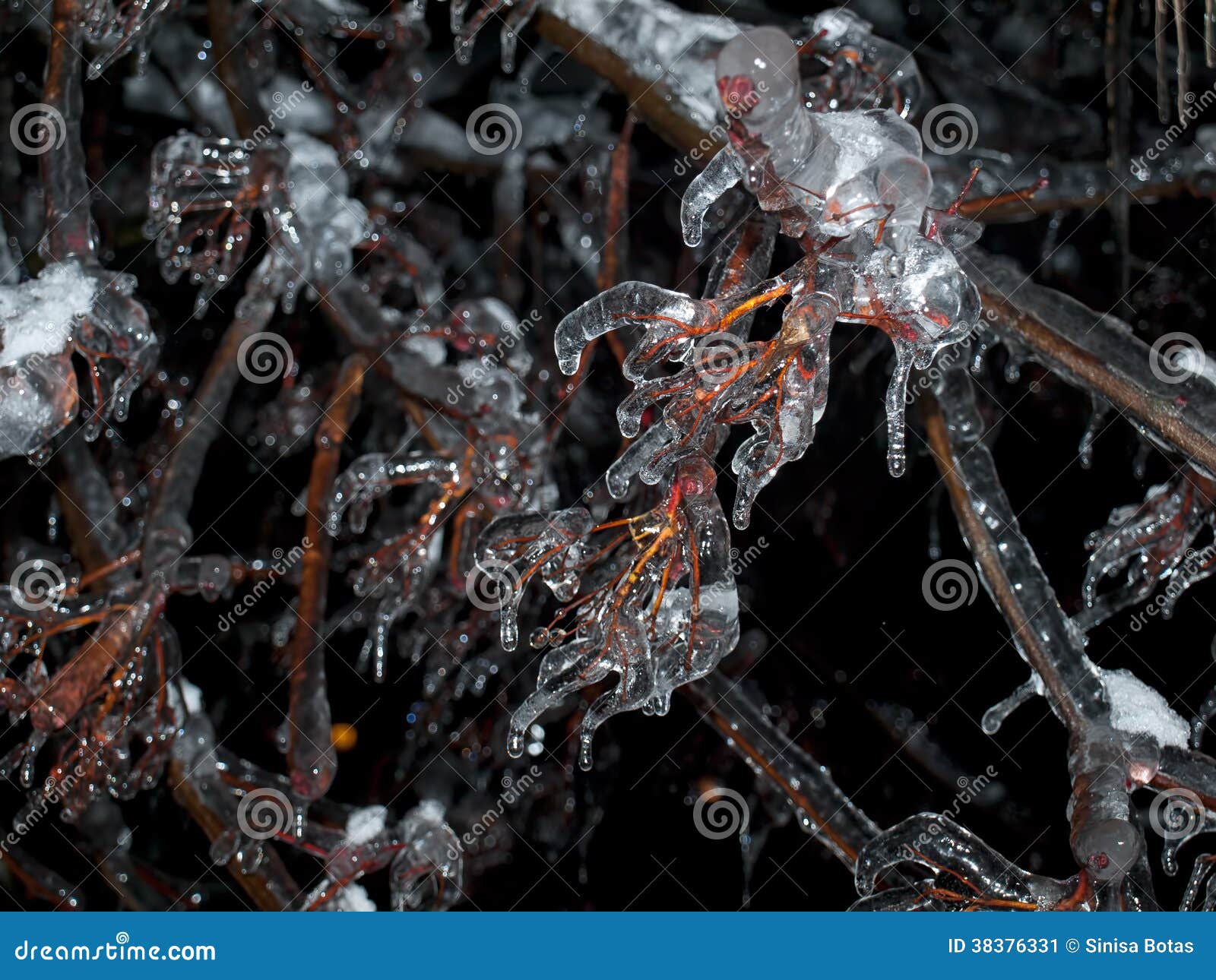 Frozen nature stock image. Image of nature, disaster - 38376331