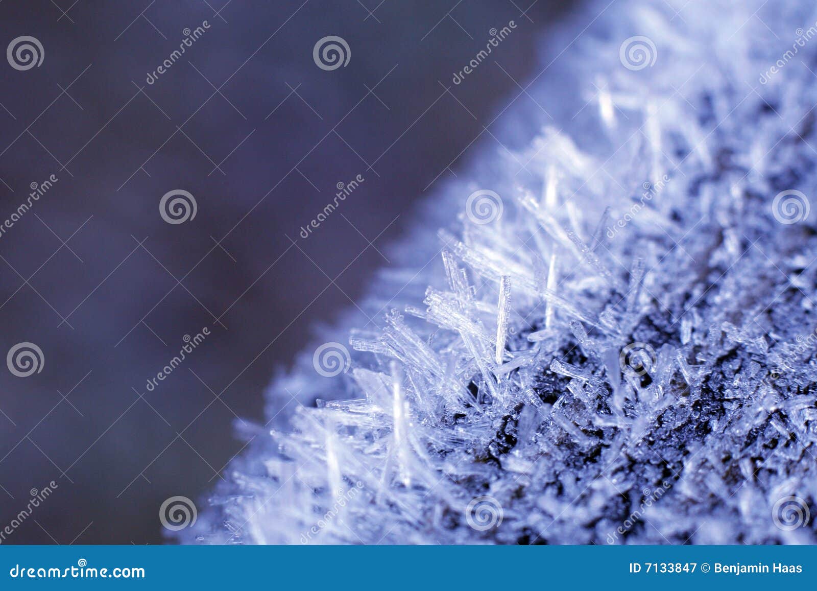 Frozen Nature stock image. Image of frozen, nature, frosty - 7133847