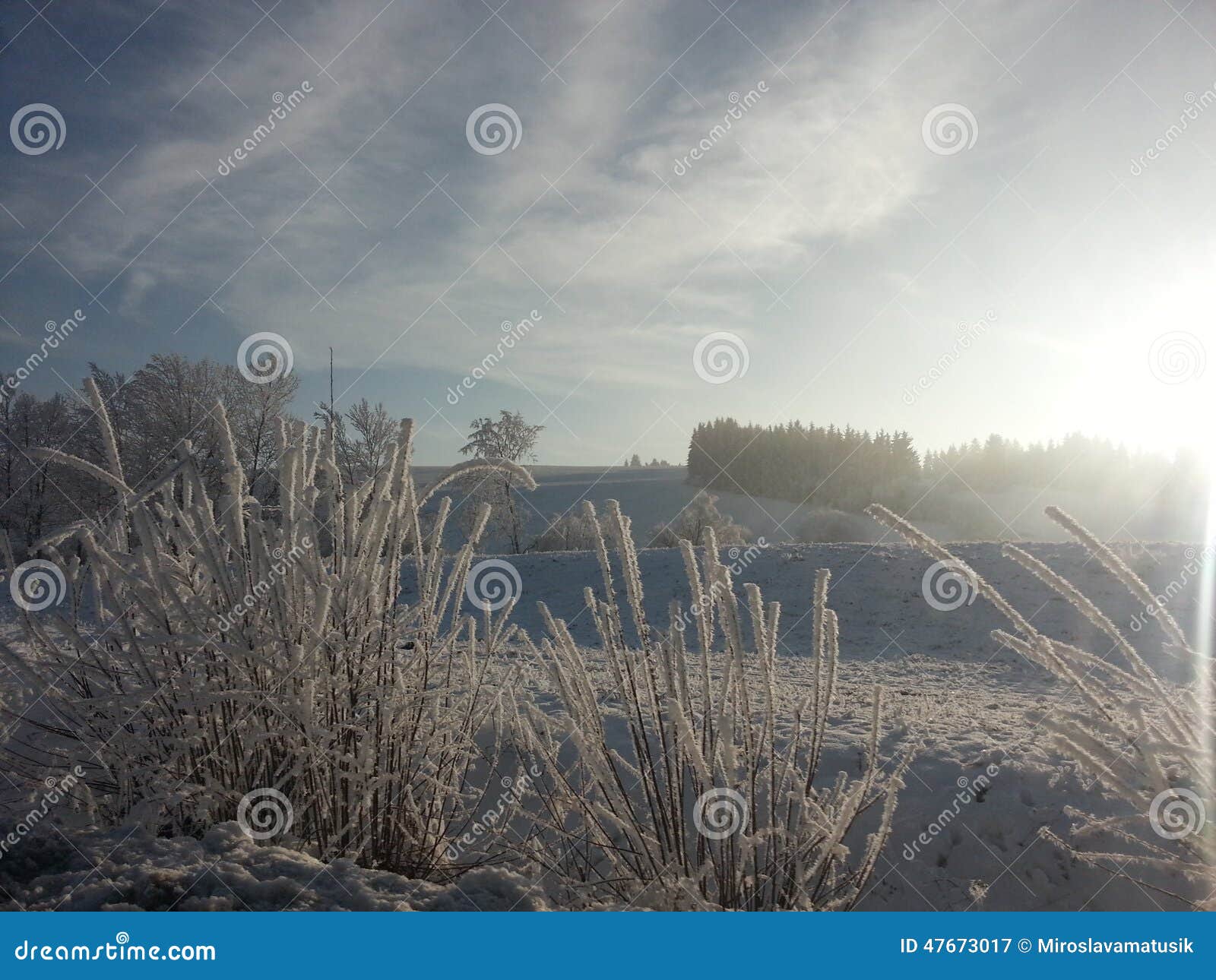 Frozen nature stock image. Image of road, morning, horizon - 47673017