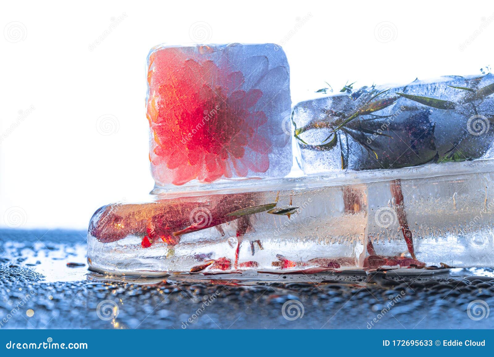 Frozen Objects in Ice Cubes on White Background Stock Image - Image of ...