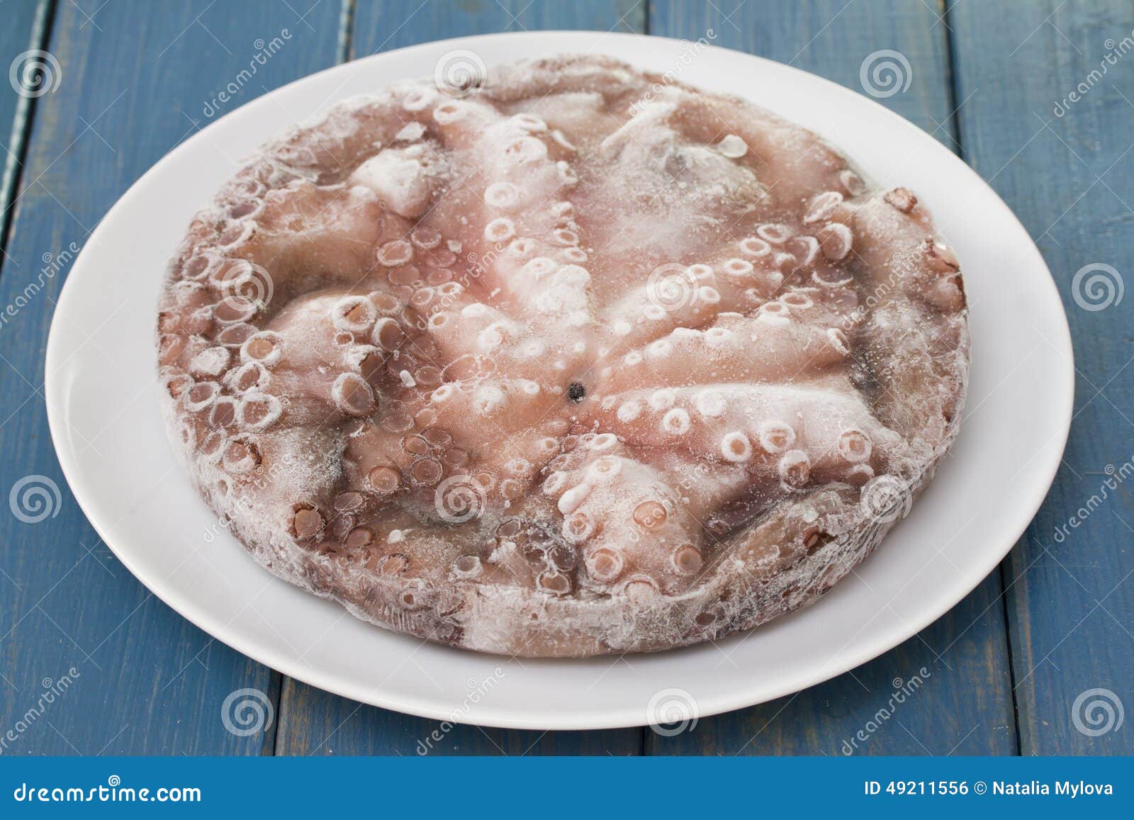 Frozen octopus stock photo. Image of dietary, frozen - 49211556