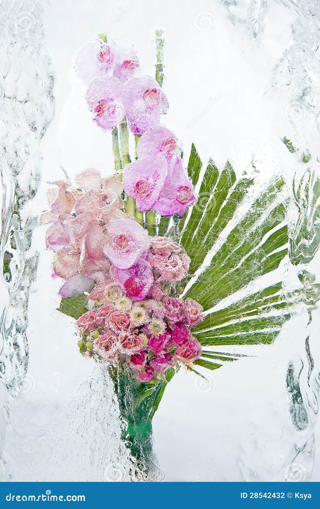 Frozen orchid bouquet stock photo. Image of arrangement - 28542432