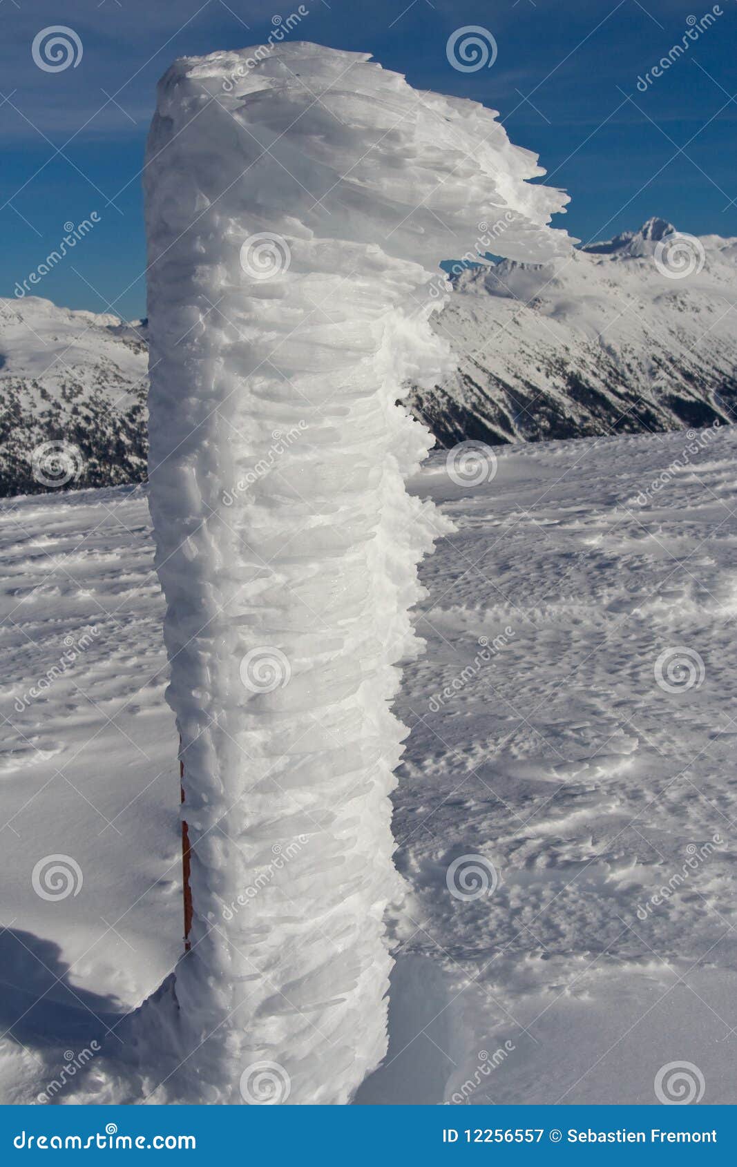 Frozen over stock image. Image of elements, back, country - 12256557