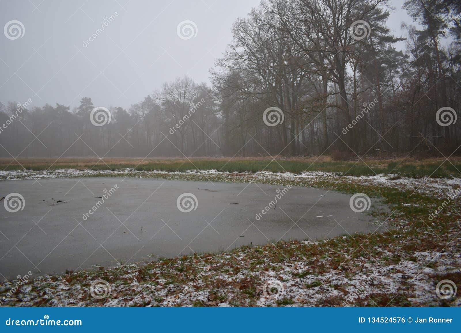 Frozen Over Fen in a Forest Stock Photo - Image of frozen, middle ...