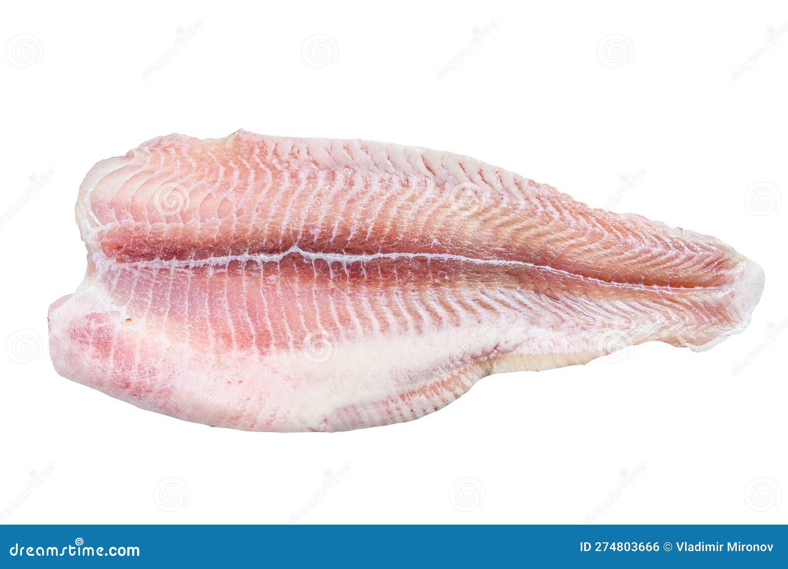 Frozen Pangasius Fish Fillet. Isolated on White Background. Stock Photo ...