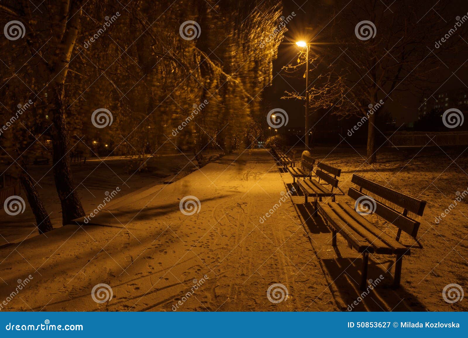 Frozen Park Benches at Night Stock Image - Image of footmark, night ...