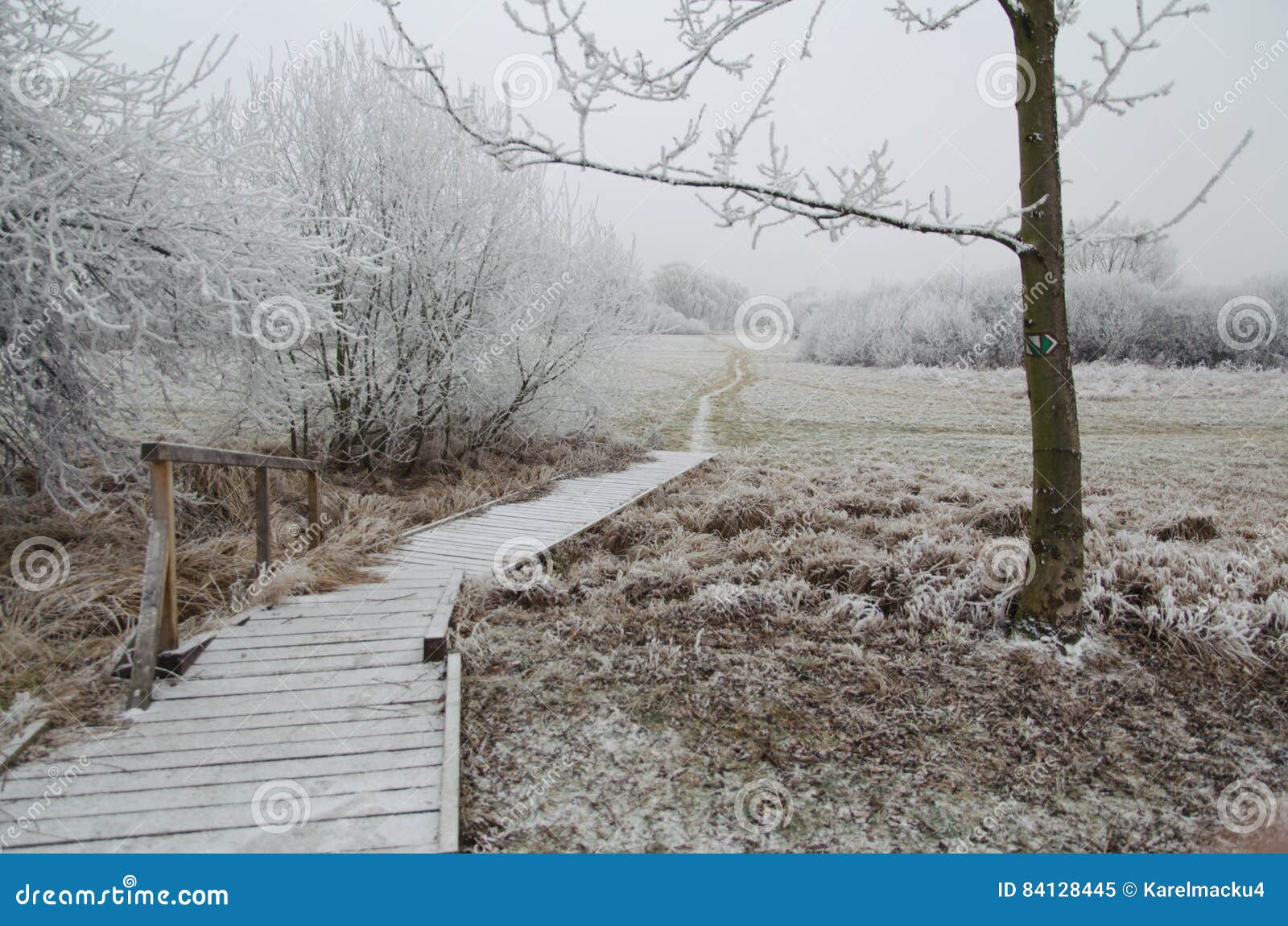 Frozen pathway stock image. Image of field, nature, silence - 84128445