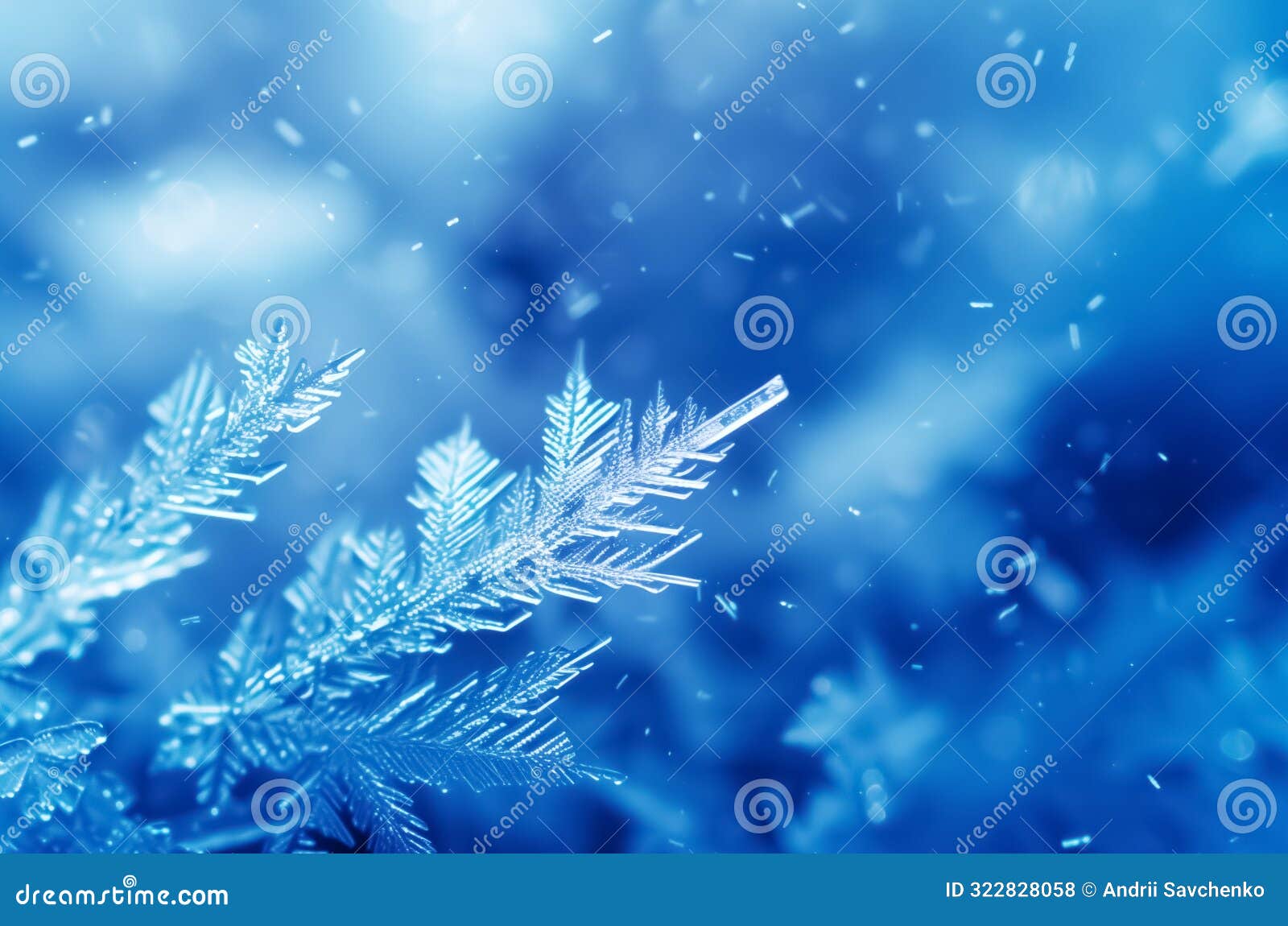 Frozen Pattern on Winter Window. Blue Ice Winter Background, Texture ...