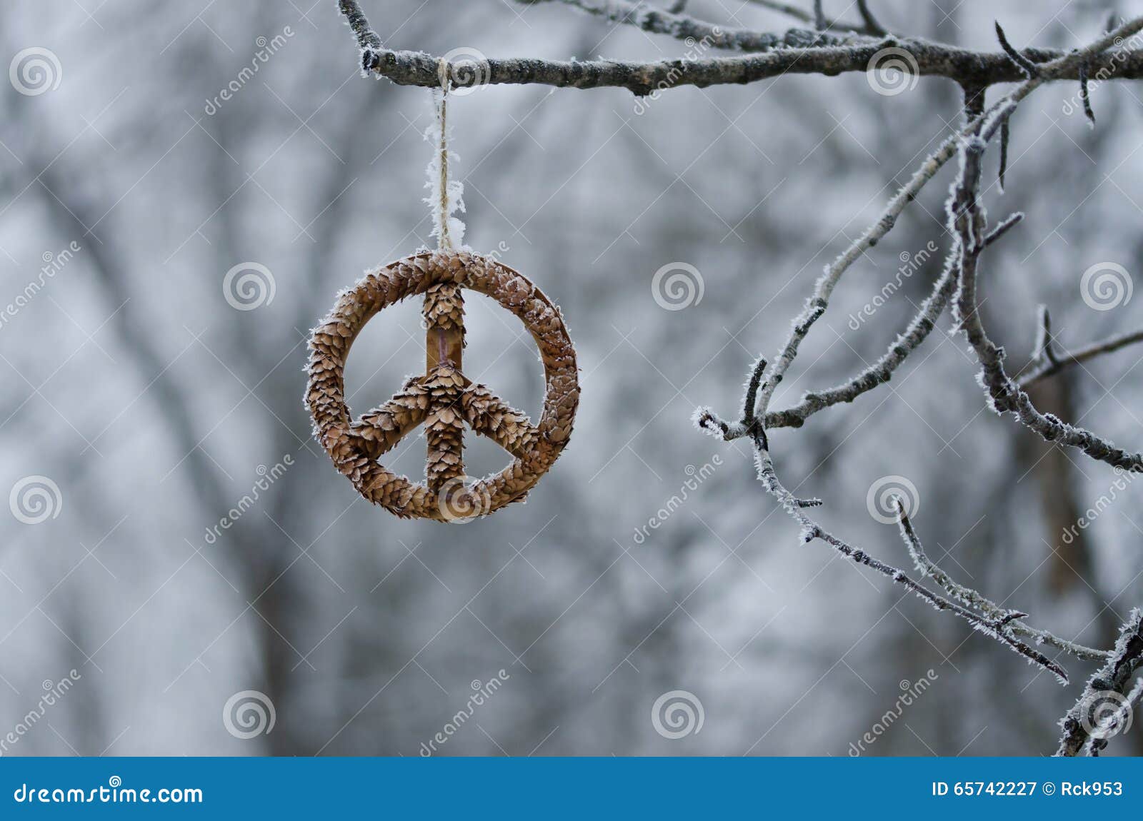 Frozen Peace Sign Hanging Alone in the Winter Forest Stock Image ...