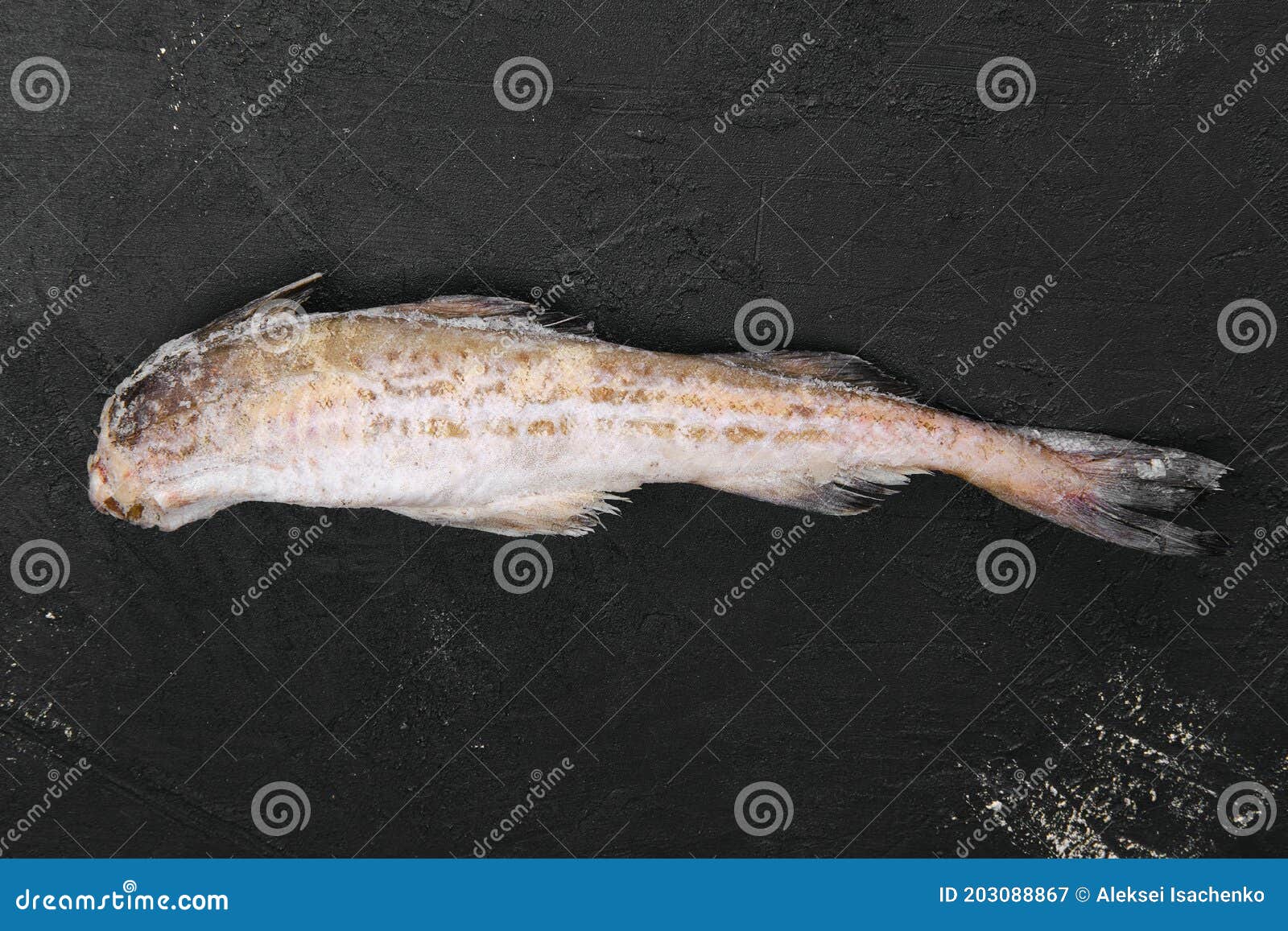 Frozen Pollock Carcass on Wooden Table Stock Image - Image of gourmet ...