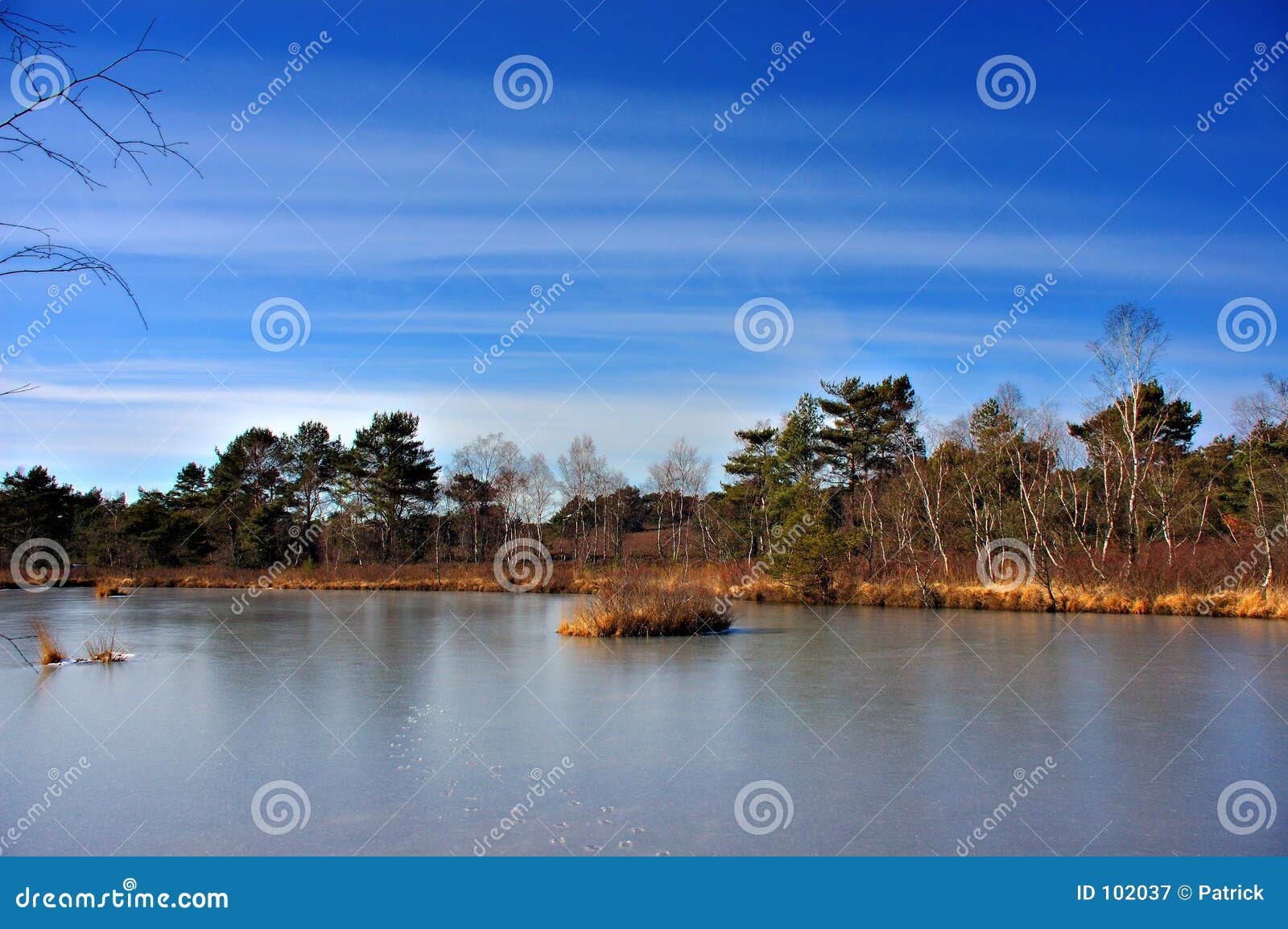 The frozen pond. stock image. Image of landscape, frozen - 102037