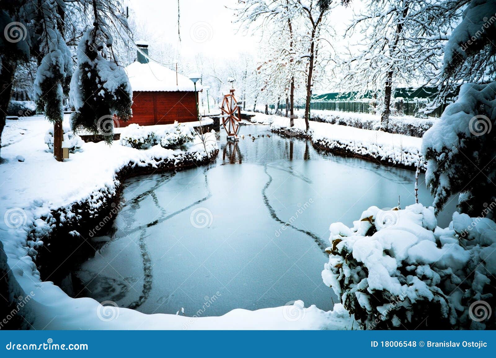 Frozen pond stock photo. Image of duck, landscape, tranquil - 18006548
