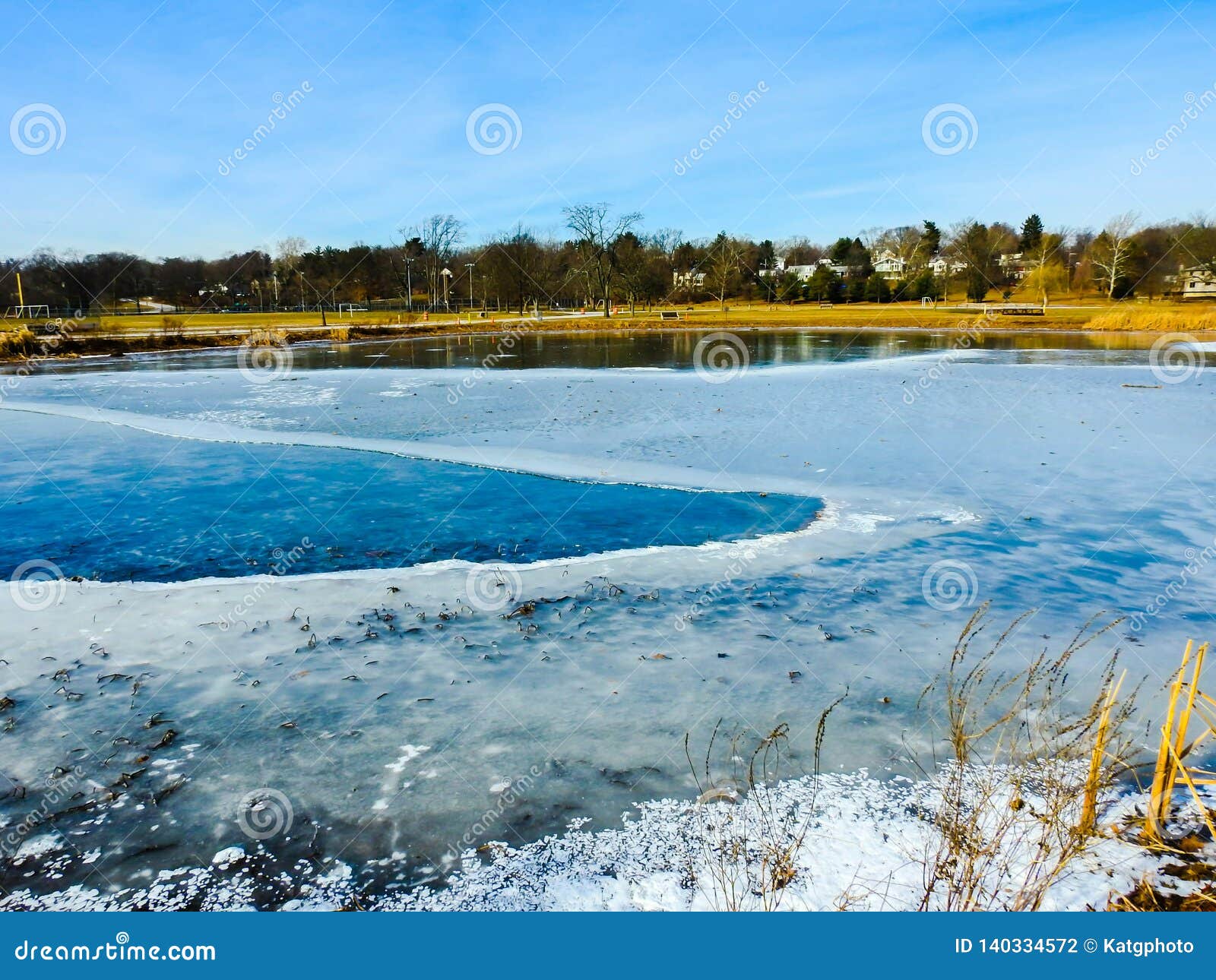 Frozen Pond at a Park stock photo. Image of environment - 140334572
