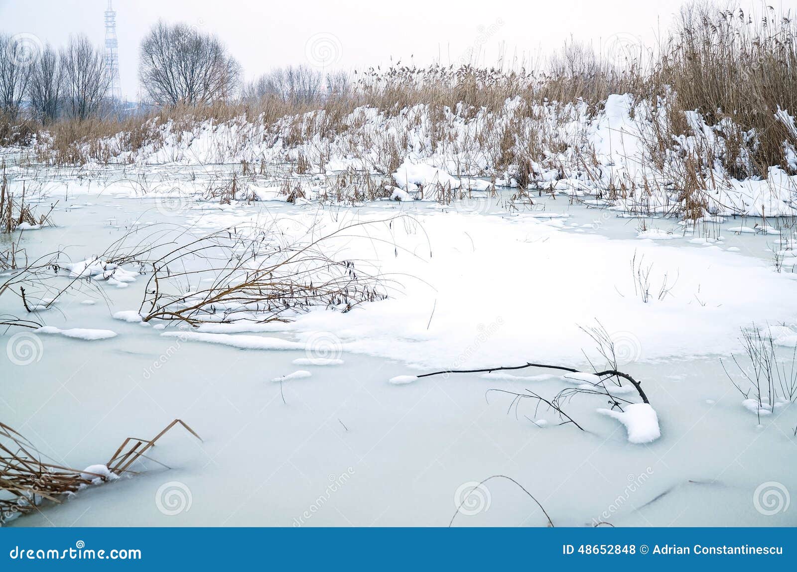 Frozen pond stock photo. Image of wind, water, desert - 48652848