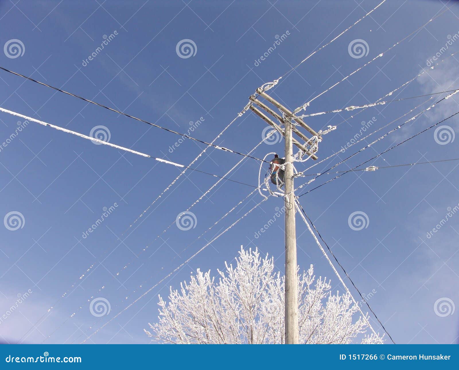 Frozen power stock photo. Image of winter, cold, trees - 1517266