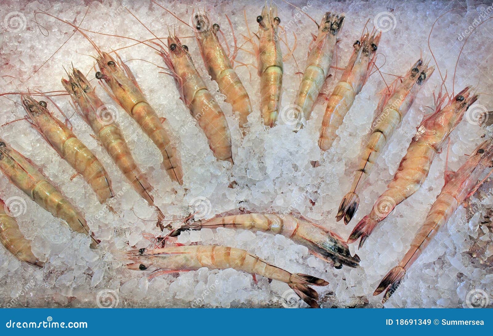 Frozen prawns stock image. Image of shrimp, shell, fresh - 18691349