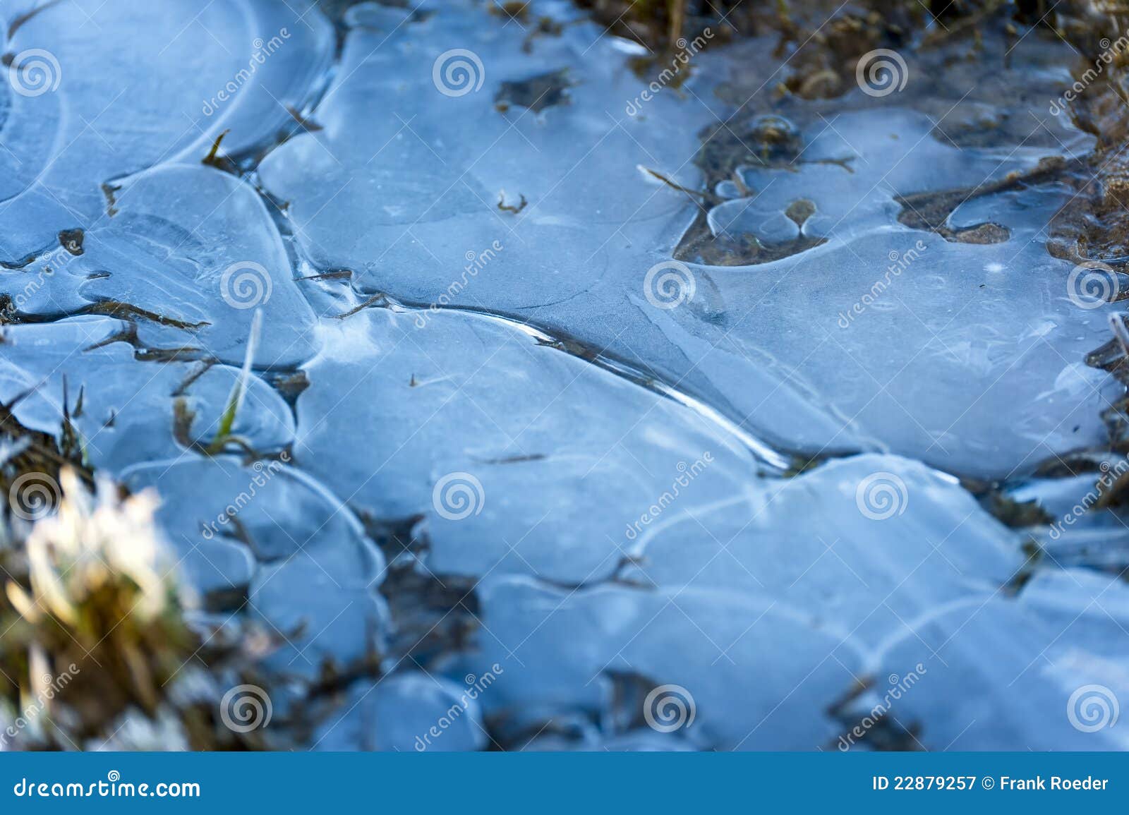 Frozen Puddle Royalty-Free Stock Image | CartoonDealer.com #22879270