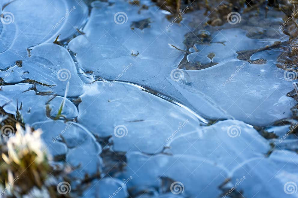 Frozen puddle stock image. Image of puddle, frozen, light - 22879257