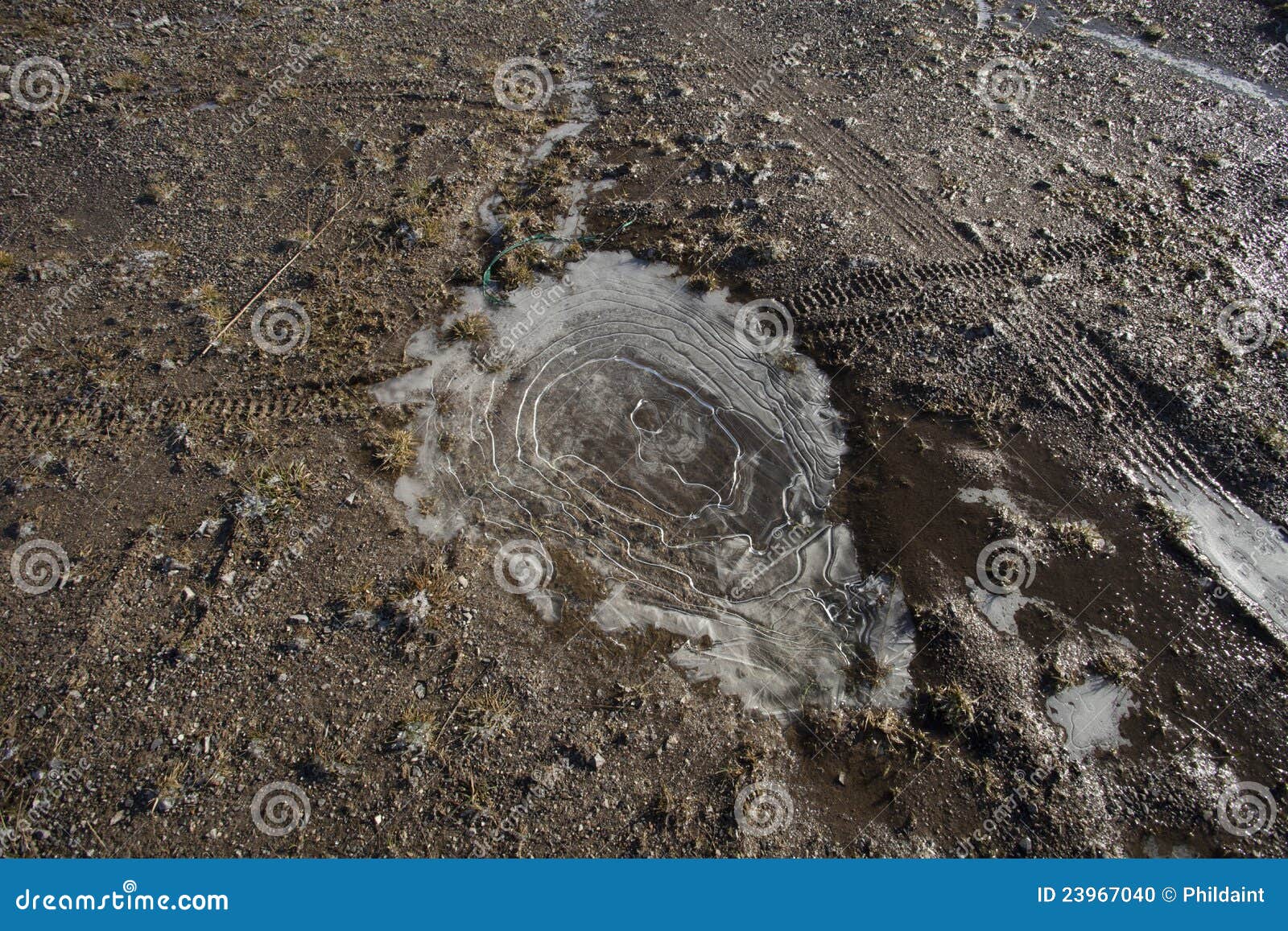 Frozen Puddle Royalty-Free Stock Image | CartoonDealer.com #22879270