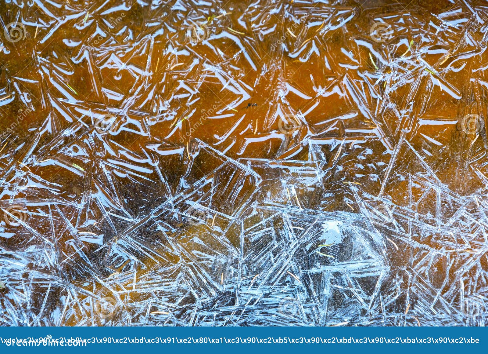 A Frozen Puddle with a Blue Pattern on the Ice Stock Image - Image of ...