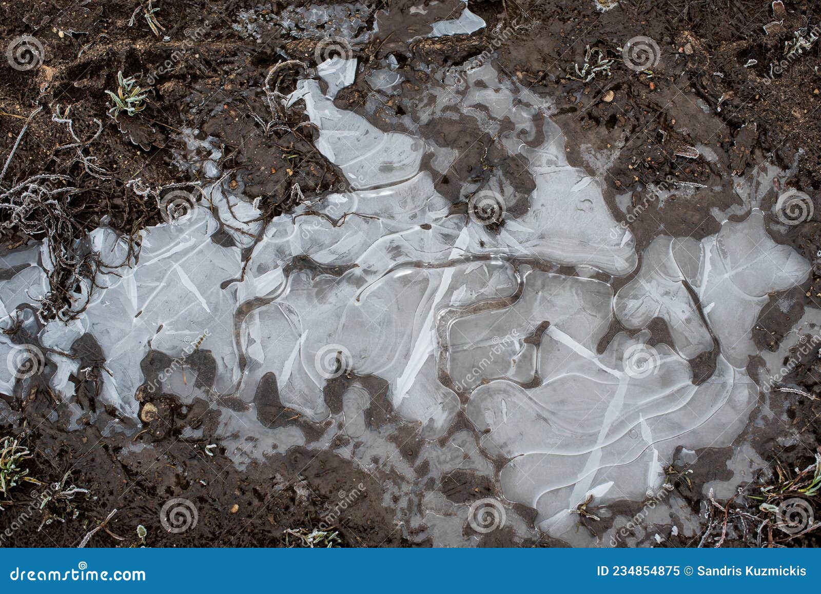 Frozen Puddle and Frosted Mud and Grass on a Cold Autumn Morning Stock ...
