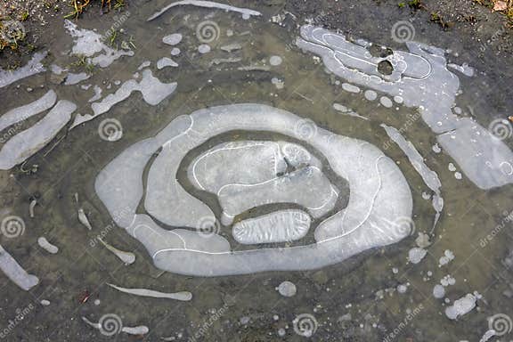 Frozen puddle on ground stock image. Image of season - 196930381