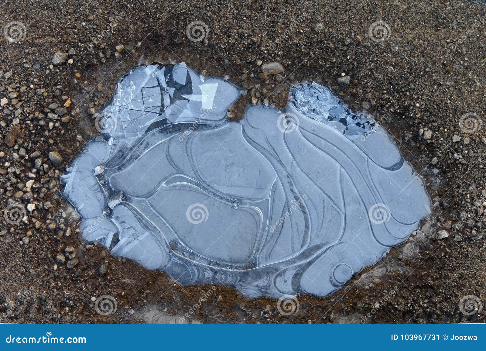 Frozen Puddle Royalty-Free Stock Image | CartoonDealer.com #22879270