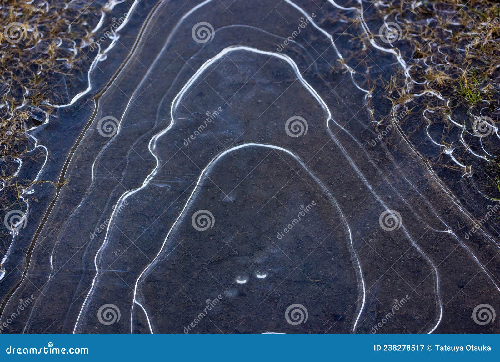 Frozen Puddle Make the Pattern Stock Image - Image of freeze, pond ...