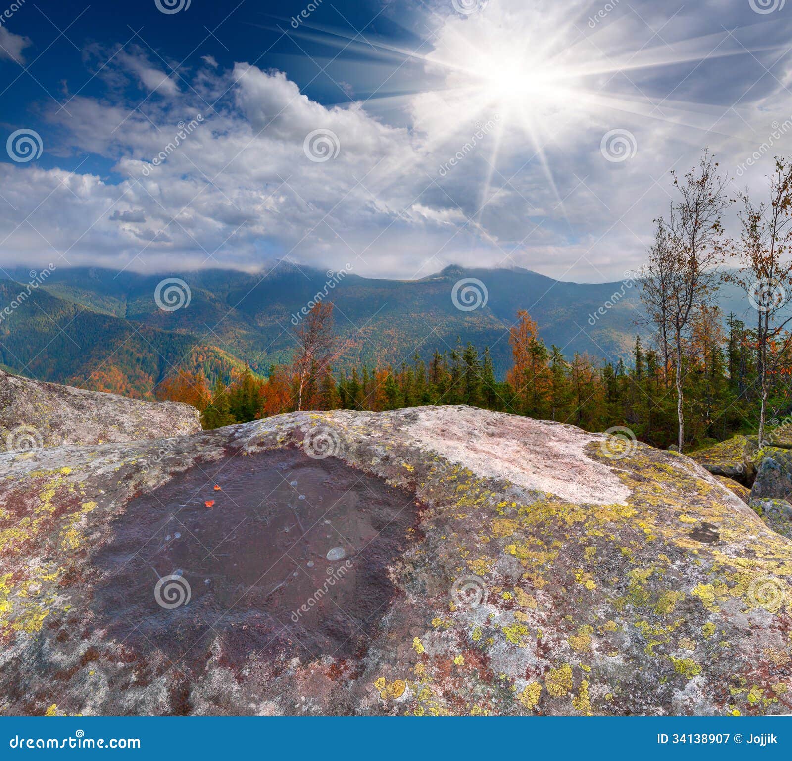 Frozen Puddle Royalty-Free Stock Image | CartoonDealer.com #22879270