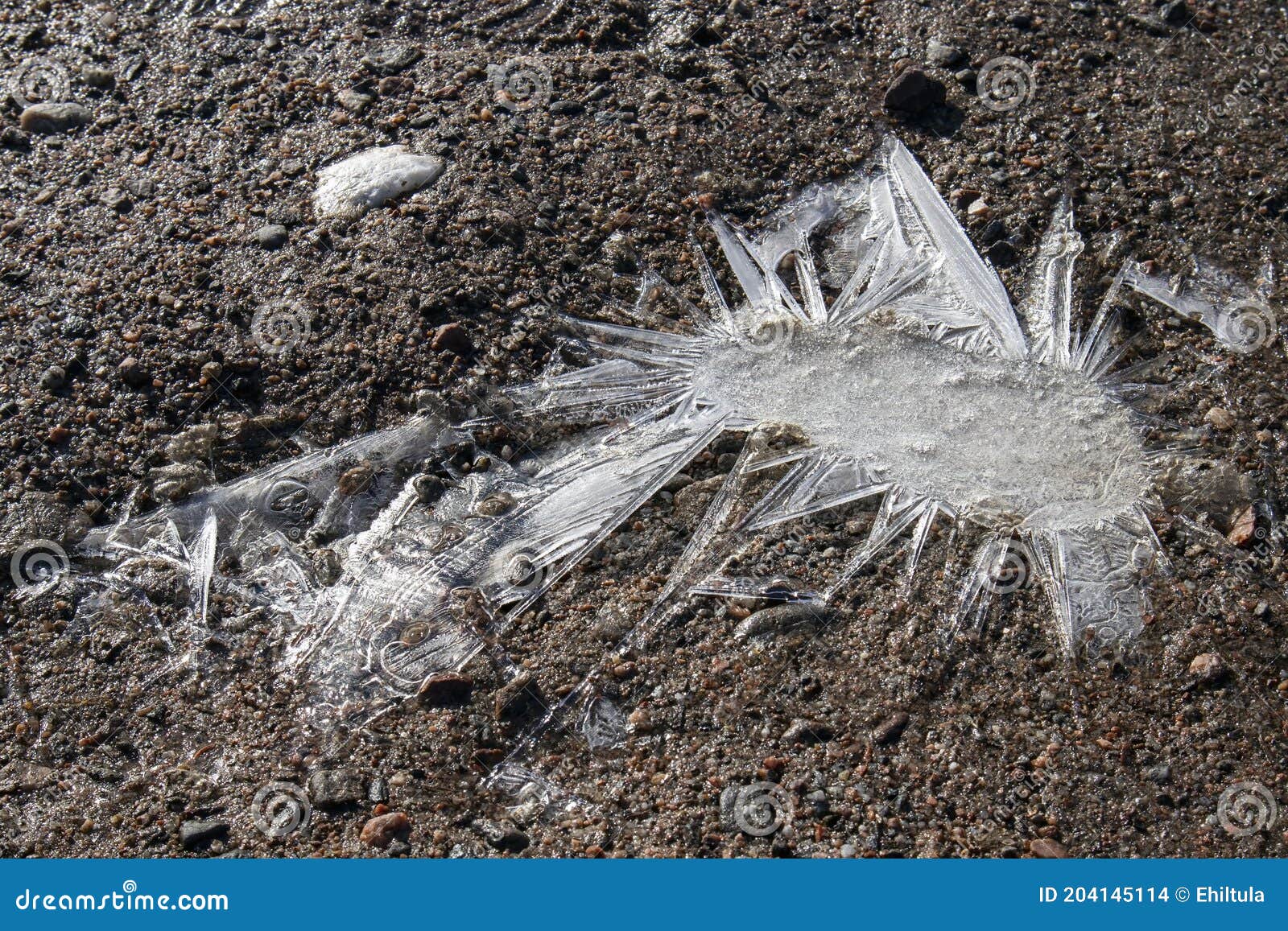 Frozen Puddle in the Ground Stock Photo - Image of crust, gravel: 204145114